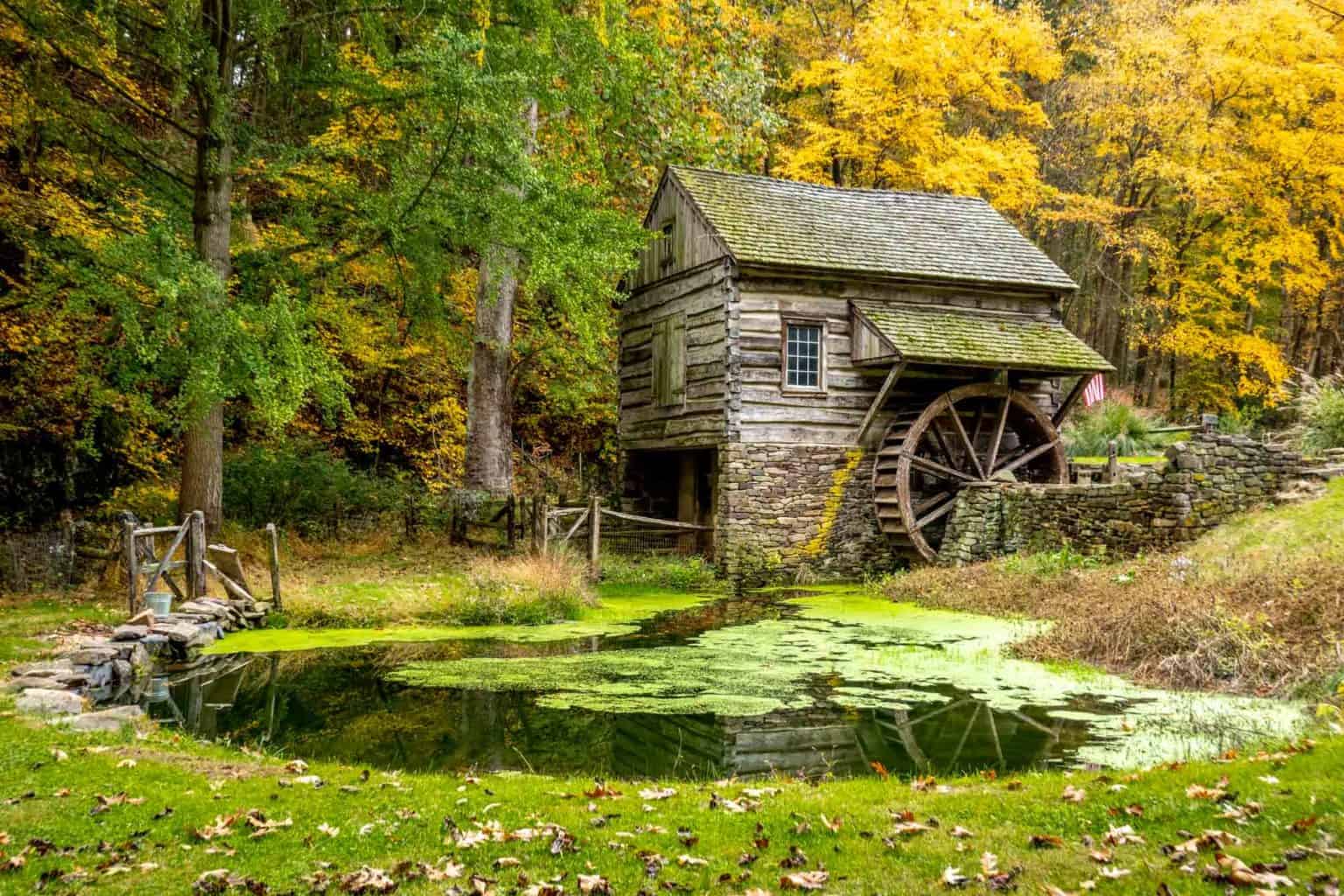 Where to See Fall Foliage in Greater Philadelphia - Guide to Philly