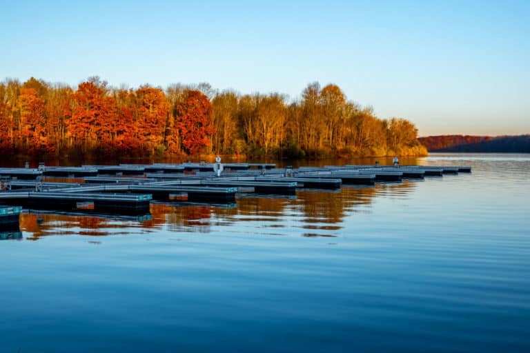 Where to See Fall Foliage in Greater Philadelphia - Guide to Philly