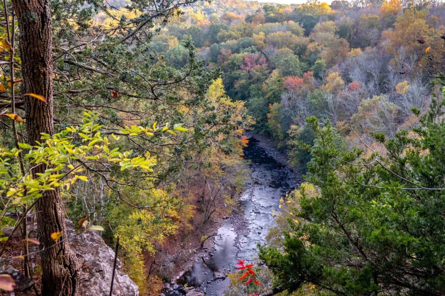 Where to See Fall Foliage in Greater Philadelphia - Guide to Philly