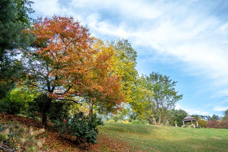 Where to See Fall Foliage in Greater Philadelphia - Guide to Philly