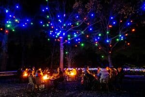 LumiNature Lights Up the Night at Philadelphia Zoo