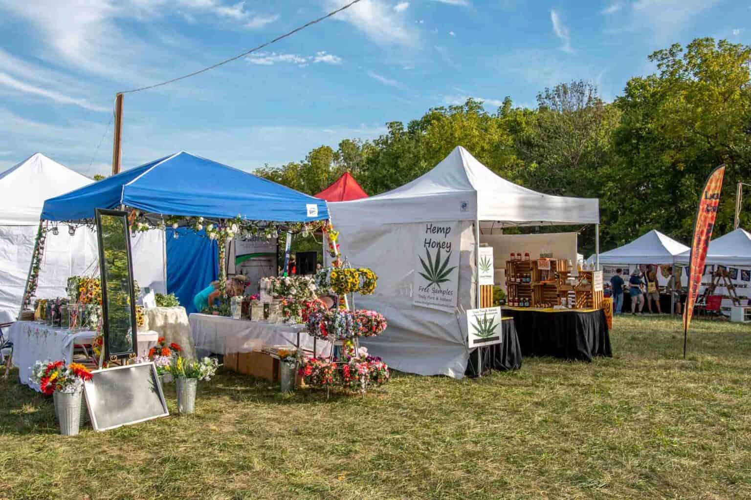 Philadelphia Folk Festival in 2025: Everything You Need to Know - Guide ...