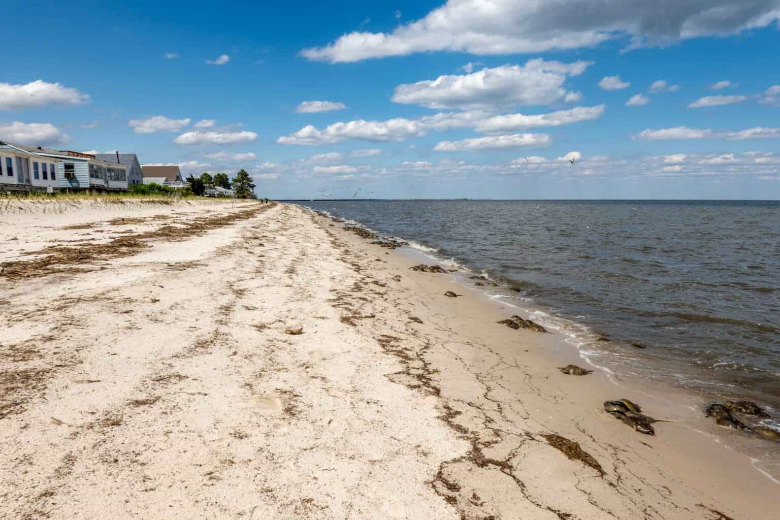 Beaches in Delaware for a Fun Visit - Guide to Philly