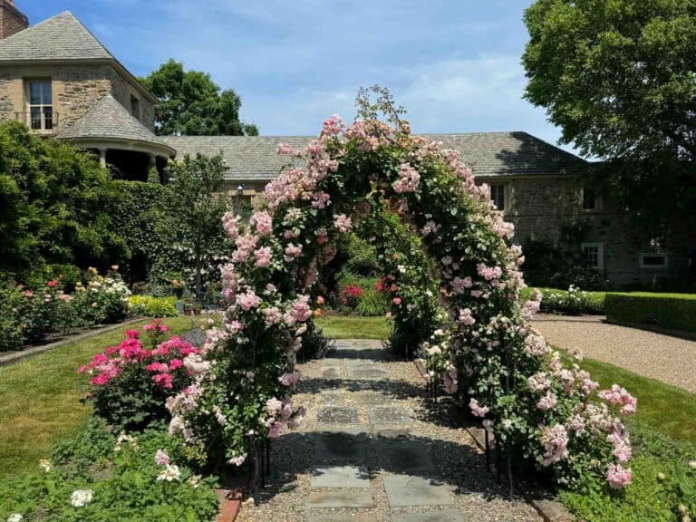 Fun Ways to Enjoy the Outdoors in Philadelphia in Every Season - Guide ...