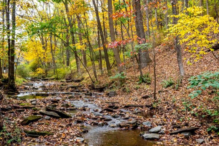 Where to See Fall Foliage in Greater Philadelphia - Guide to Philly