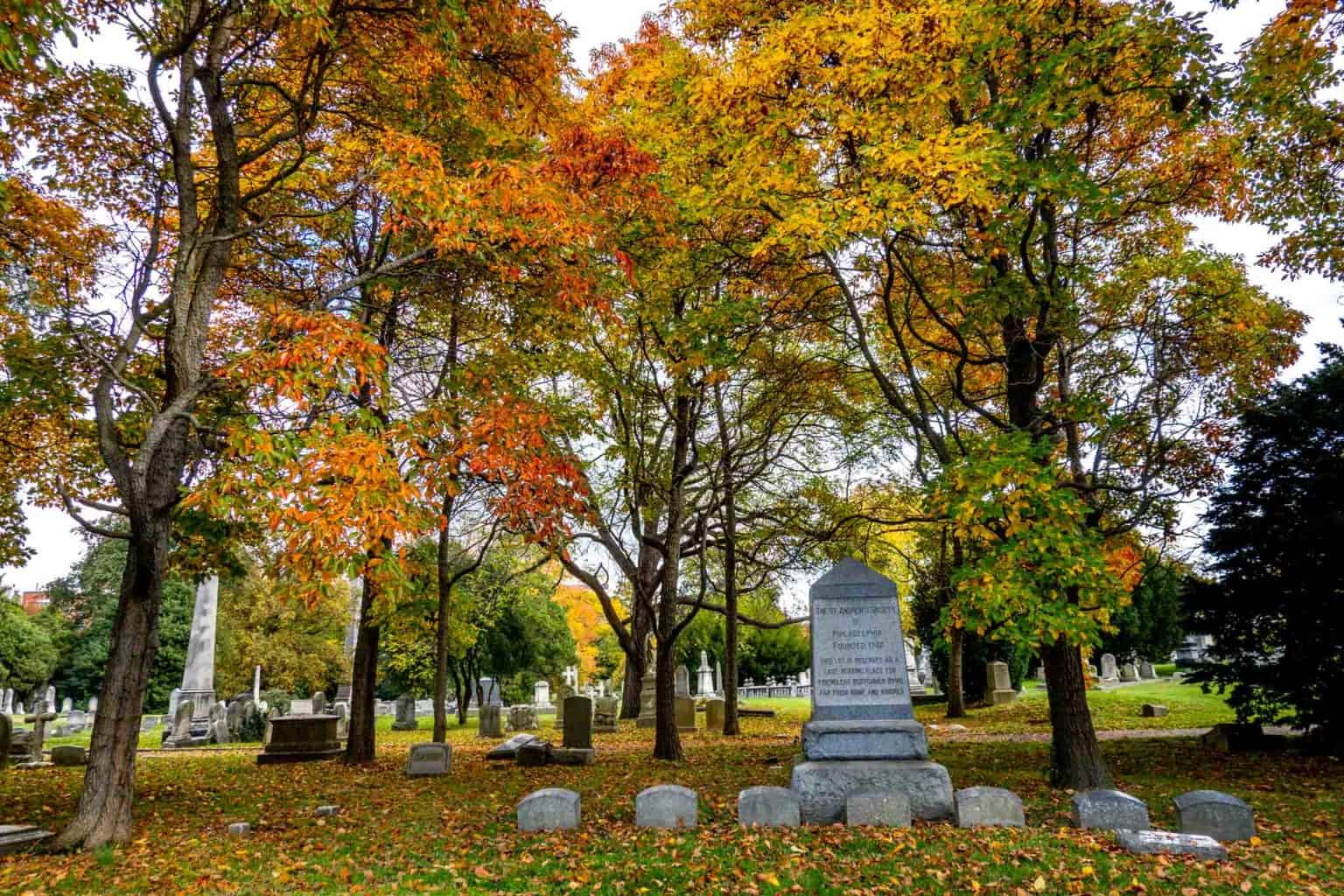 Where to See Fall Foliage in Greater Philadelphia - Guide to Philly
