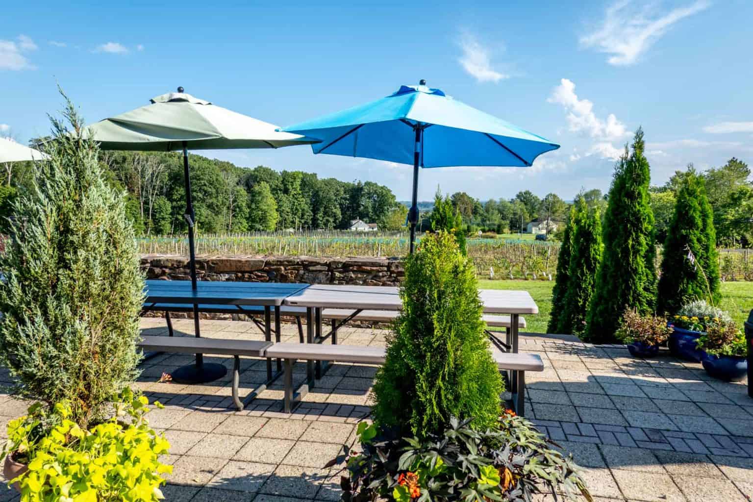 Bucks County Wineries to Visit and Enjoy - Guide to Philly